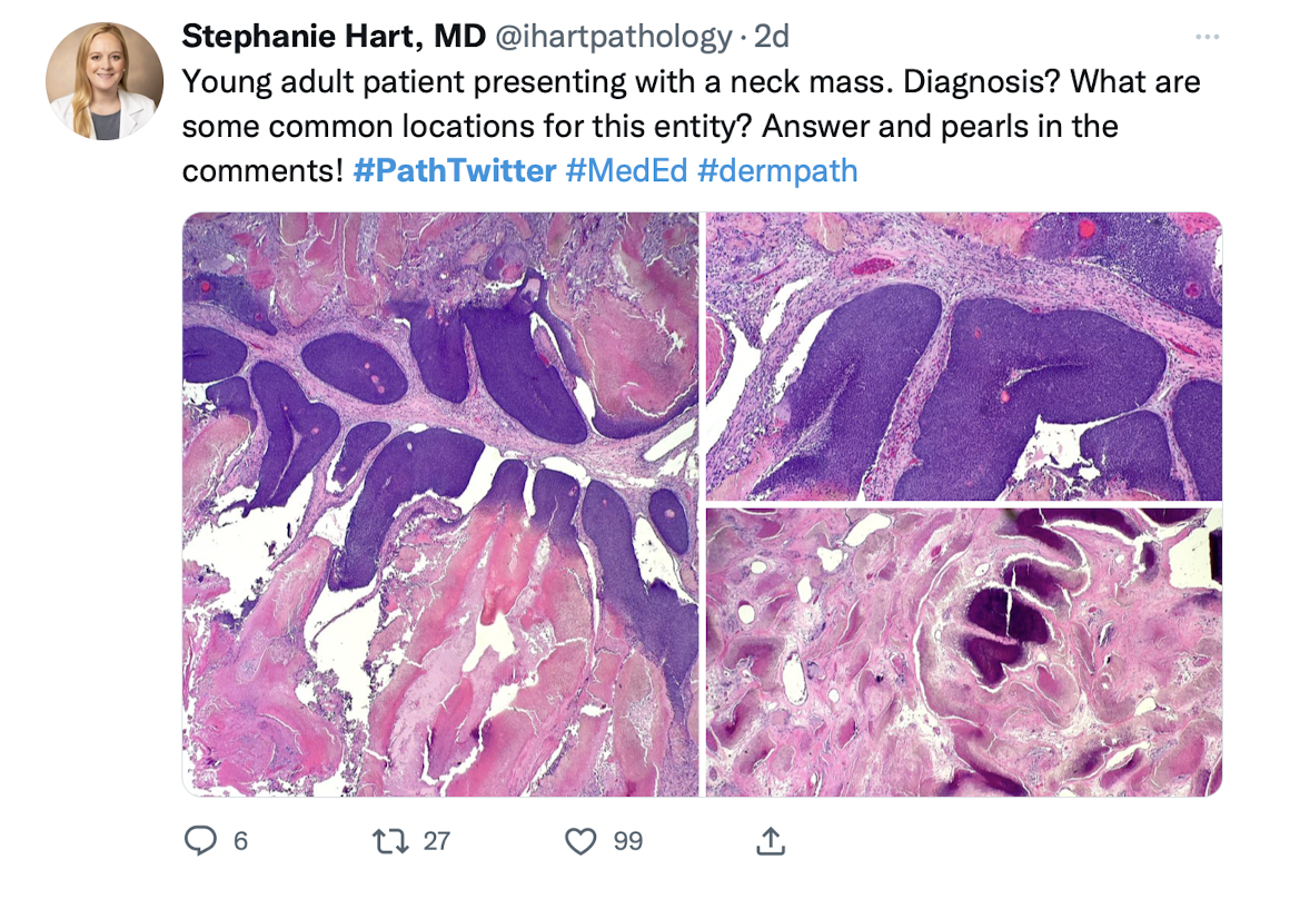 Top 11 Online Pathology Learning Resources | Lumea
