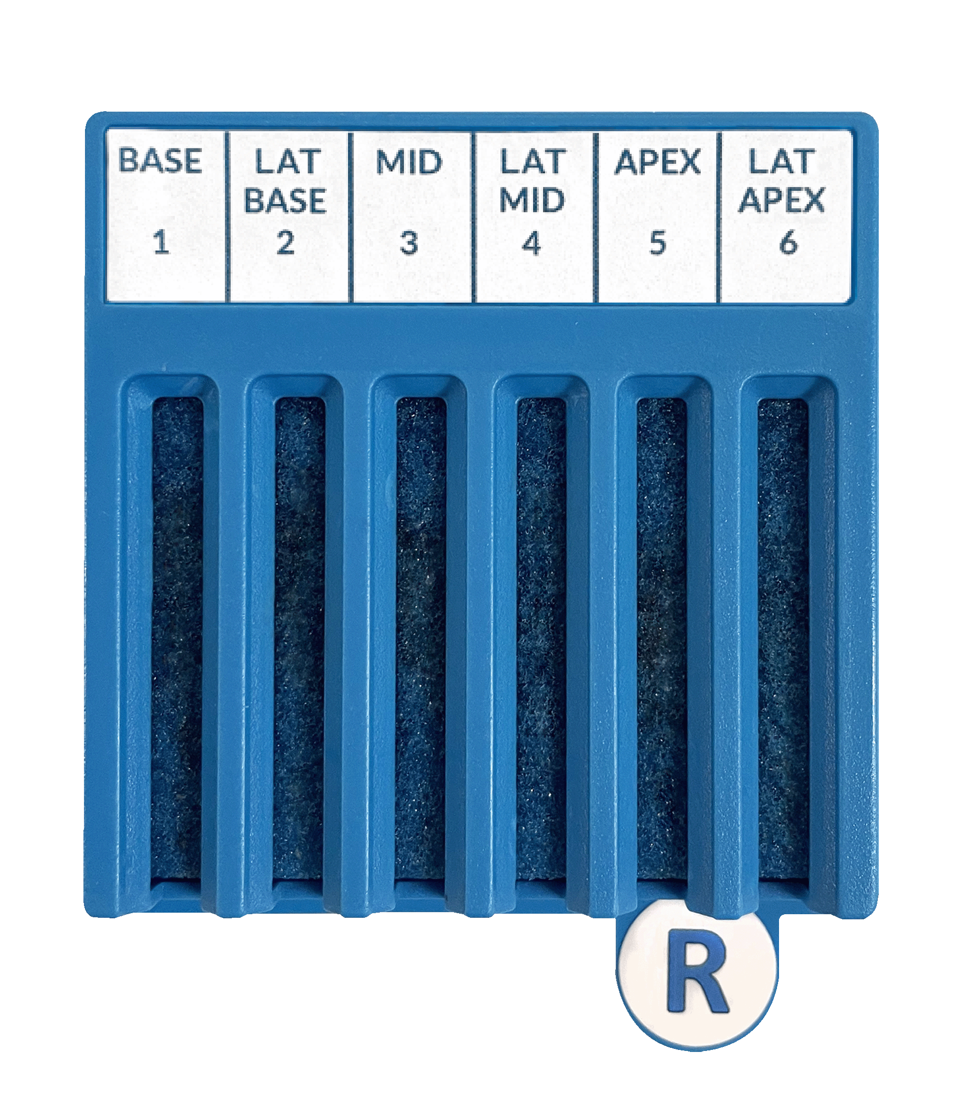 BxBoard™: The Better Biopsy | Lumea
