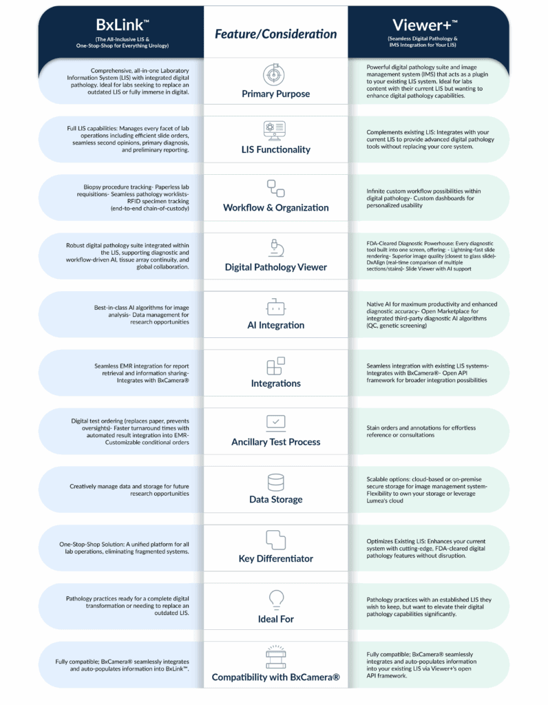 Choosing Your Digital Edge | Lumea